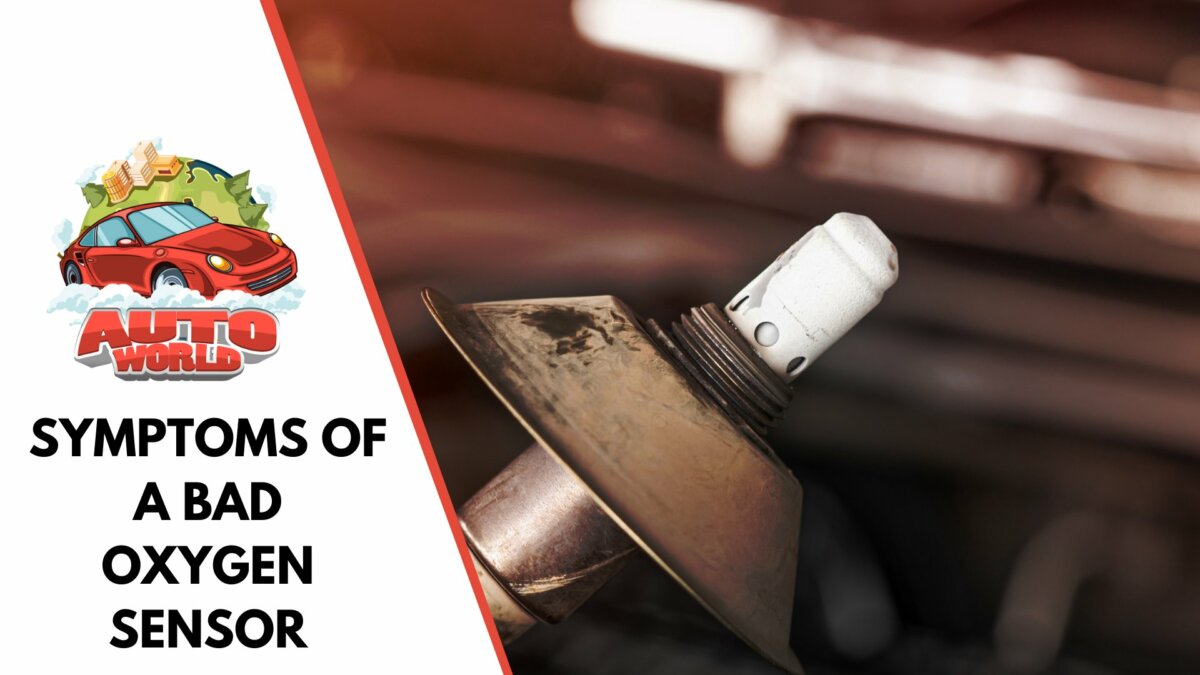 Engine Oxygen Sensor Guide